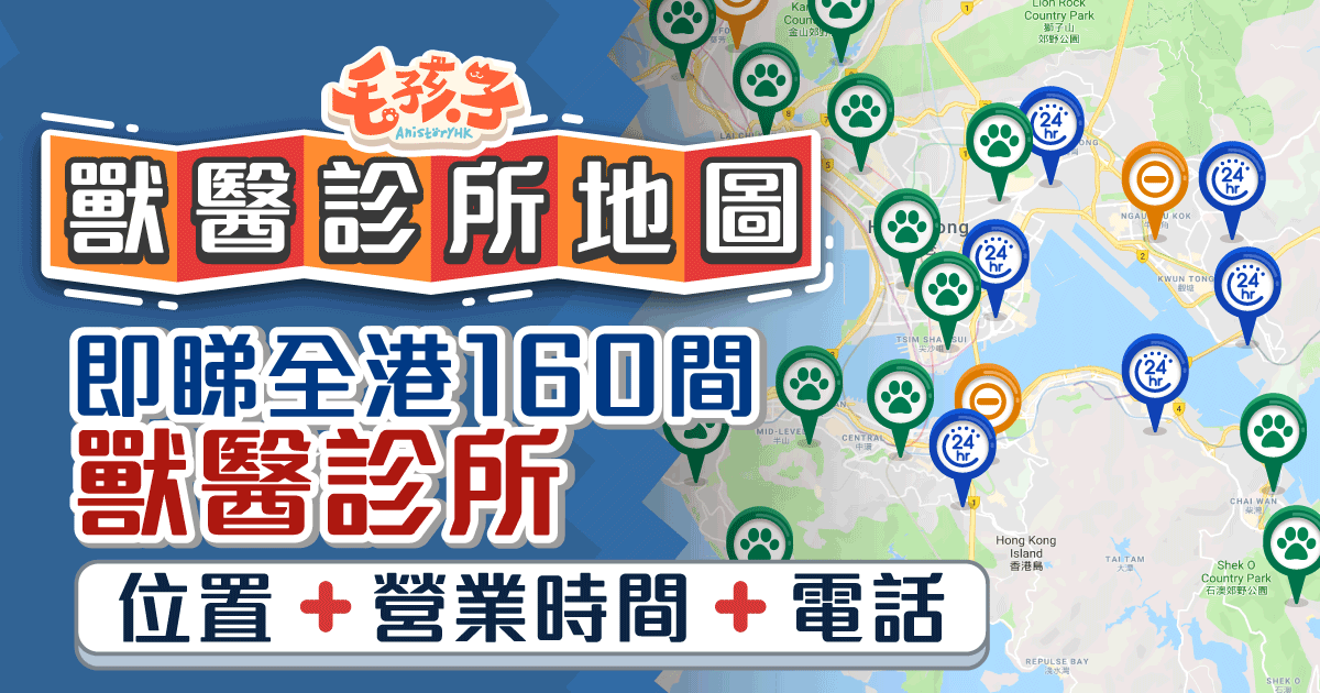 獸醫診所地圖 話你知香港獸醫診所位置、營業時間 香港01